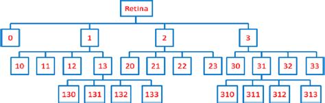 Image result for Quadtree Data Compaction Method