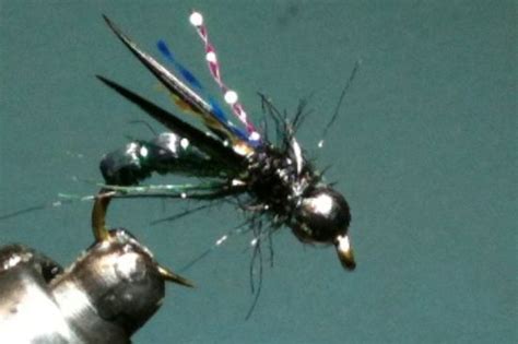 Image result for Floating Nymph Fly Pattern