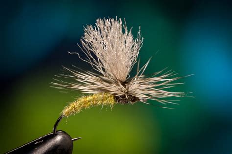 Image result for Simple Dry Fly Patterns