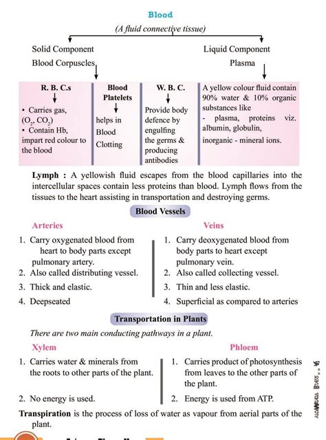 Image result for Class 10 Science Chapter 5 Life Process