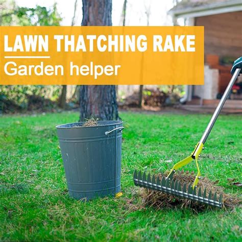 Image result for Dethatching Rake