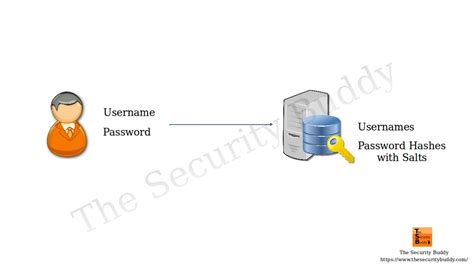 Image result for Hash Password Python