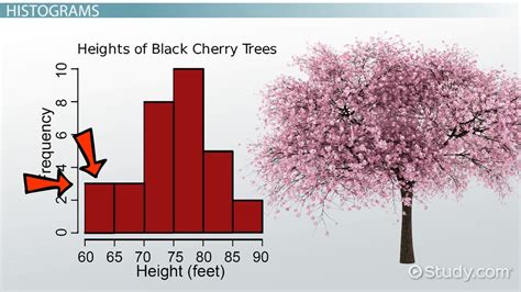 Image result for Types of Data Distribution