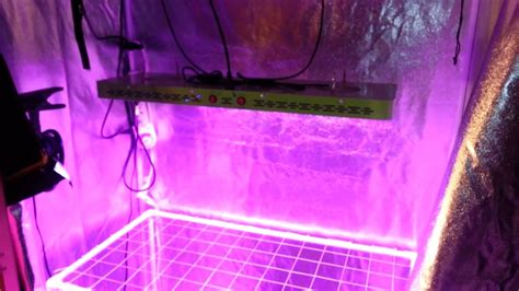 Image result for LED Scrog