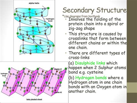 Image result for Primary Protein Structure Example