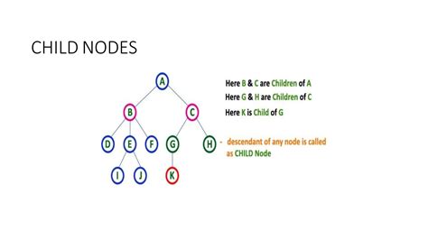 Image result for Tree Python Handling