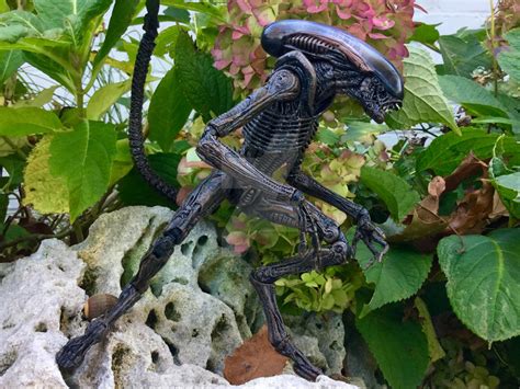 Image result for Alien Up Dog