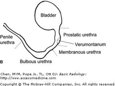Image result for Retrograde Urethrogram Book