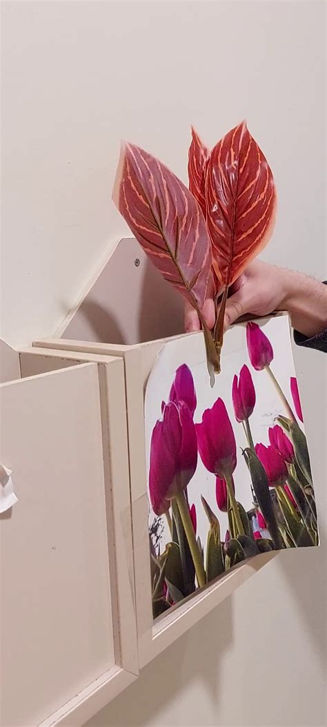 Image result for Weed Detection Using Python