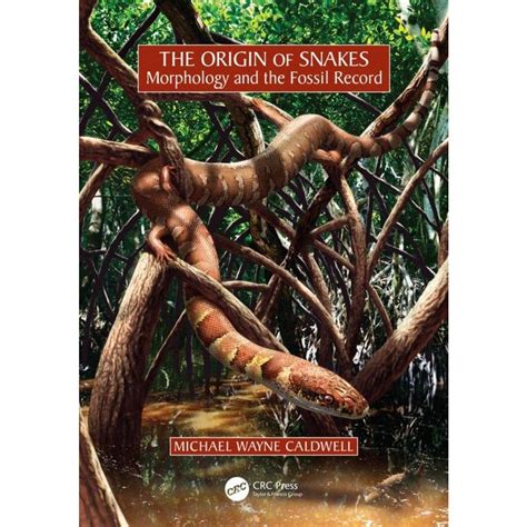 Image result for Snakes Origins Explained