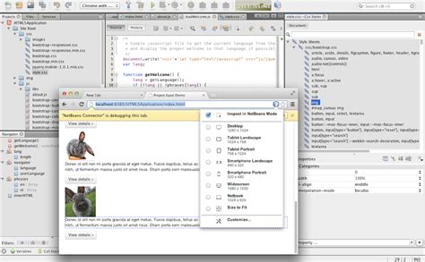 Image result for NetBeans JavaScript