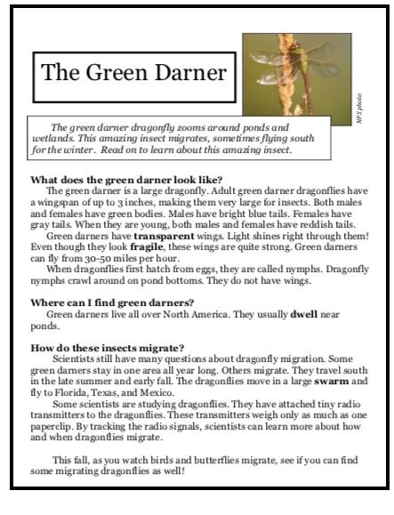 Image result for Sample Text of Description