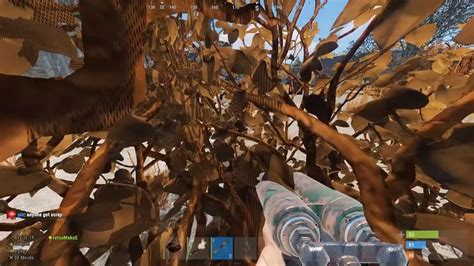 Image result for Cat Playing Rust