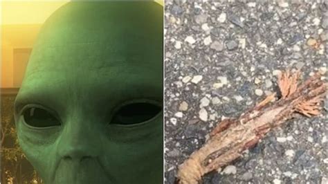 Image result for Alien Appears