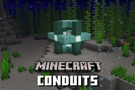 Image result for Minecraft Conduit Real