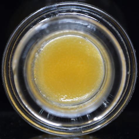 Image result for Alien Milk