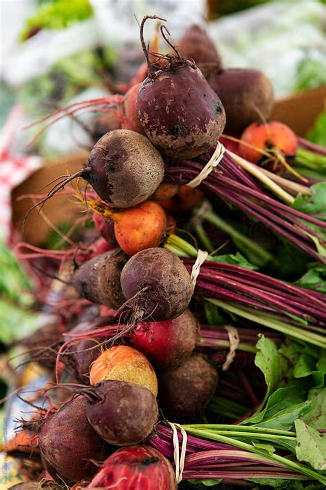 Image result for Color of Beets