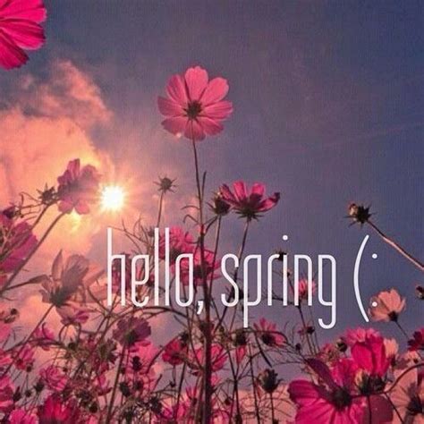 Image result for Hello Spring Co