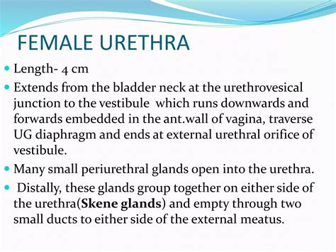 Image result for Retrograde Urethrogram Book