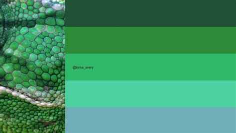Image result for Lizard Colors
