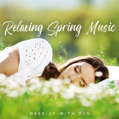 Image result for Calm Spring Music