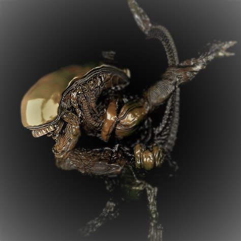 Image result for Aliena Performance