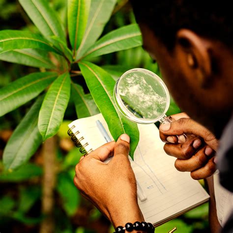 Image result for Learning Botany Australia