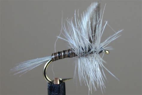 Image result for Simple Dry Fly Patterns