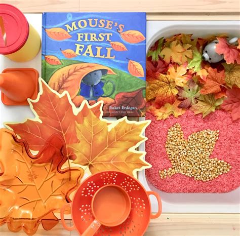 Image result for Mouse S First Fall