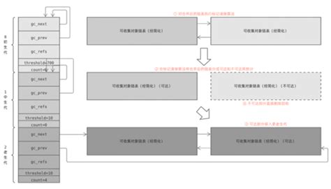 Image result for CCC Garbage Python