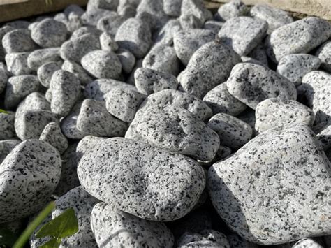 Image result for iPhone 12 Pro Max