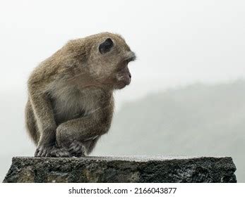 Image result for Slant Line Drawn