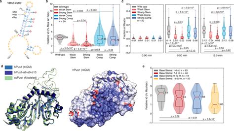 Image result for RNA Modification