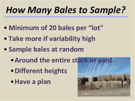 Image result for Sampling Feed