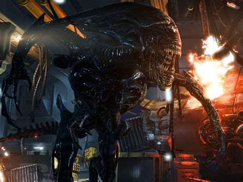 Image result for Alien Vs. Predator Gameplay