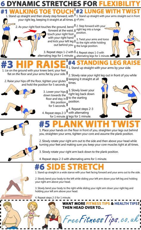 Image result for Basic Dynamic Stretches