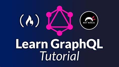 Image result for Graphql Basic Examples