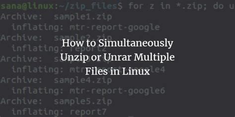 Image result for Unzip Multiple Files