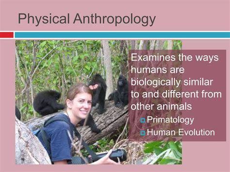 The four fields of anthropology | PPTX - Auto News