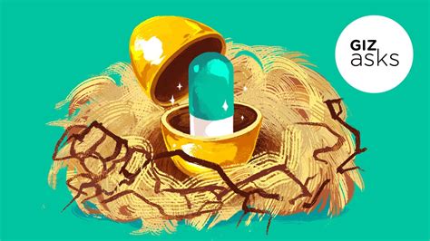 Image result for True Cryptids