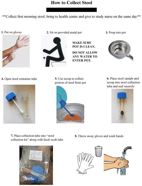 Image result for How to Do a Stool Sample Collection and Storage