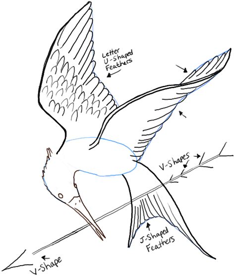 Image result for Mockingjay Outline