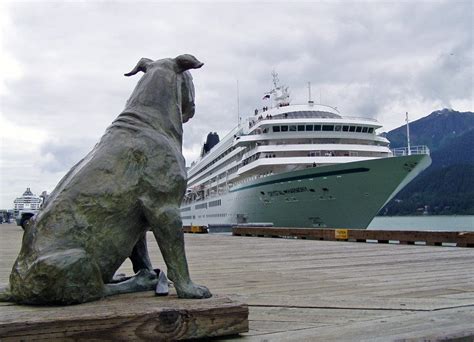 Image result for Patsy Ann