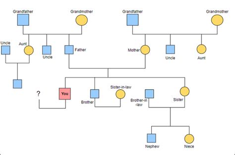 Image result for How to Develop a Genogram