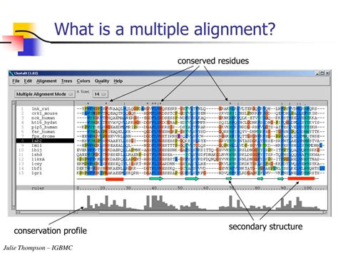 Image result for Multiple Sequence Alignment Applications