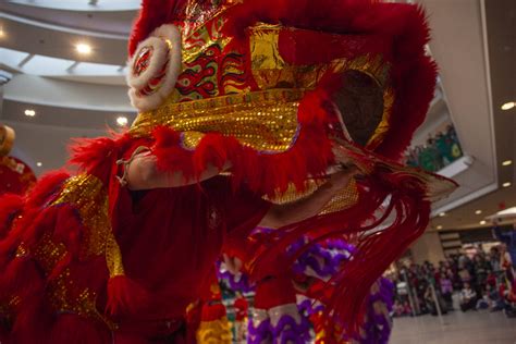 Image result for Alien Dancing Lion