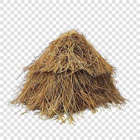 Image result for Using Pyhaystack