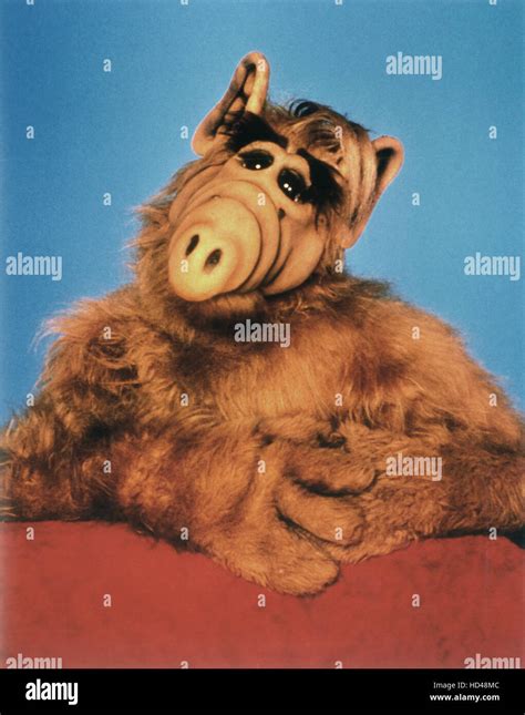 Image result for Alien Productions Alf