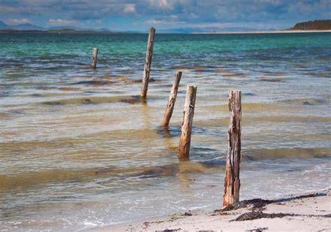 Image result for Alien Isolation Scorched Earth