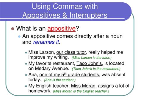 Image result for Comma Interrupters Examples